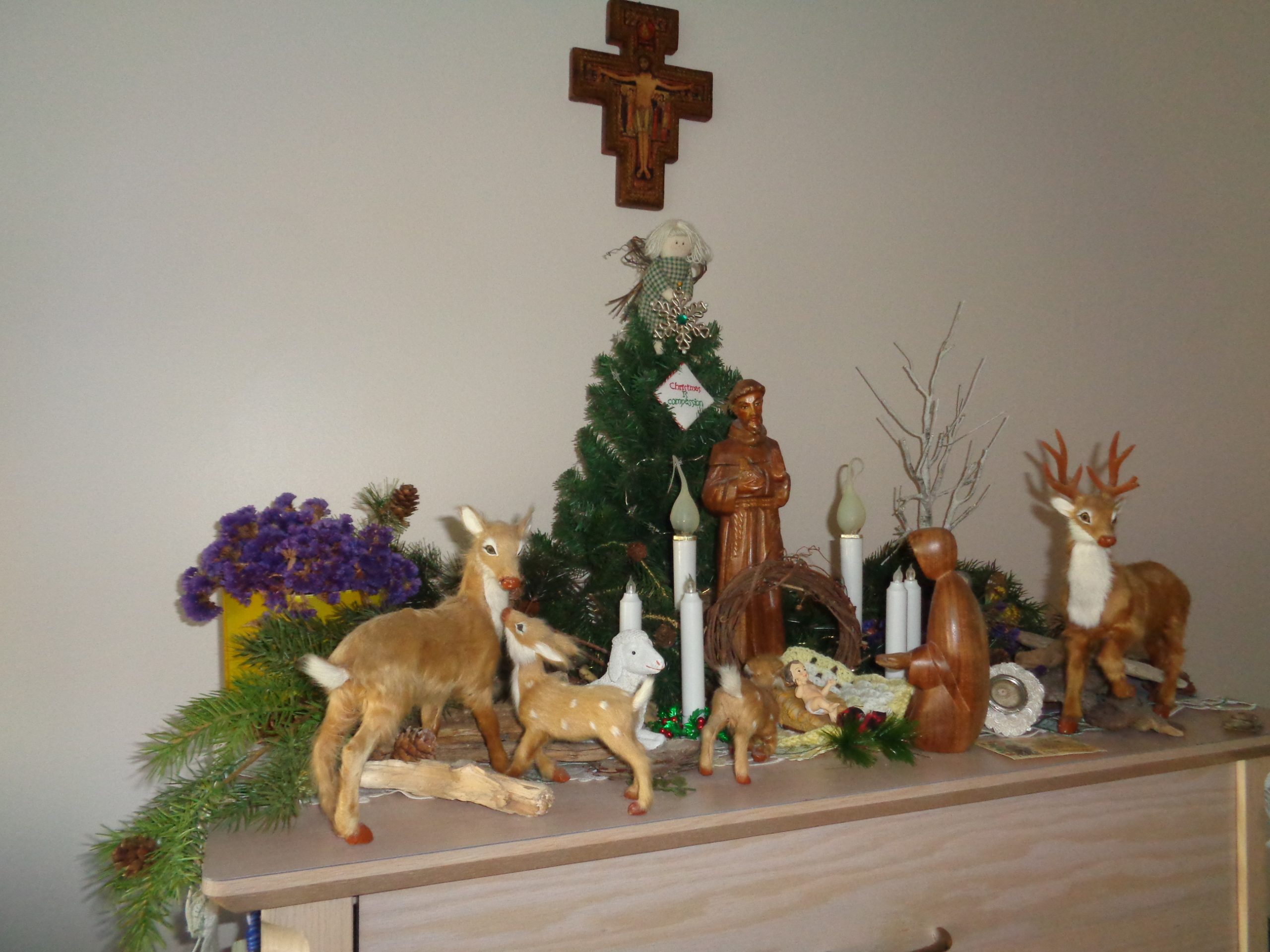 THE FRANCISCAN SISTERS OF ST. JOSEPH OF HAMBURG, NY